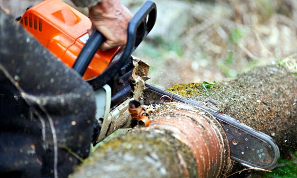 Eco Tree Services